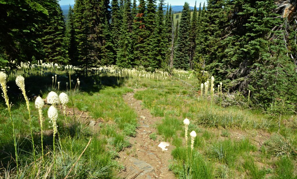 The Old South Nez Perce Trail Part II | Dave Severn's Blog